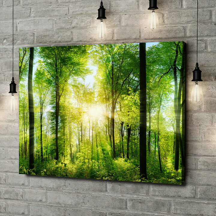 Zomer bos - Hoogwaardige decoratieve foto canvassen | Canvaso.com